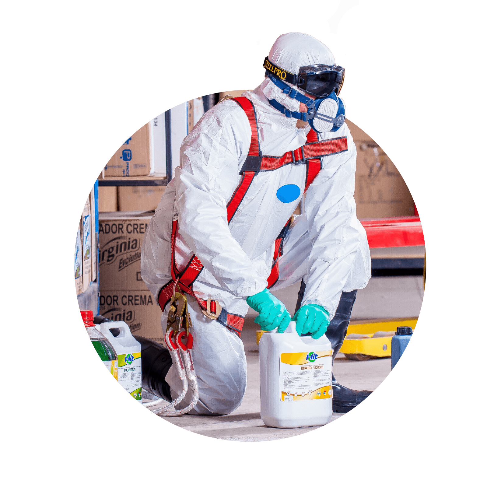 Inicio - EHS Integral l Consultores Expertos en Seguridad Industrial